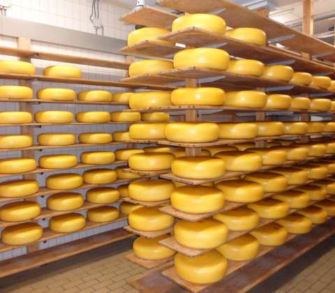 Cheese storage